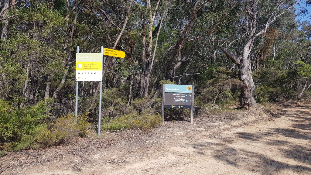 Kedumba Valley Loop Track – Adam, Leigh and the Trees